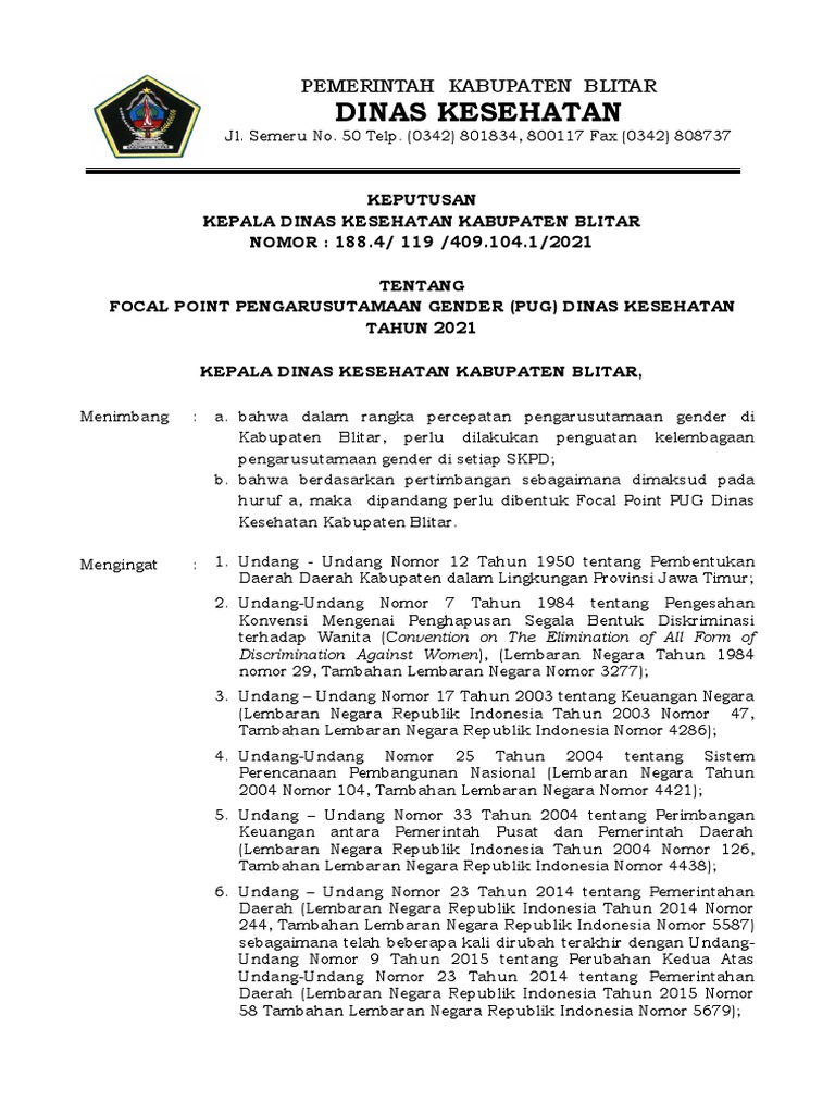 Designating Gender Focal Points | PDF
