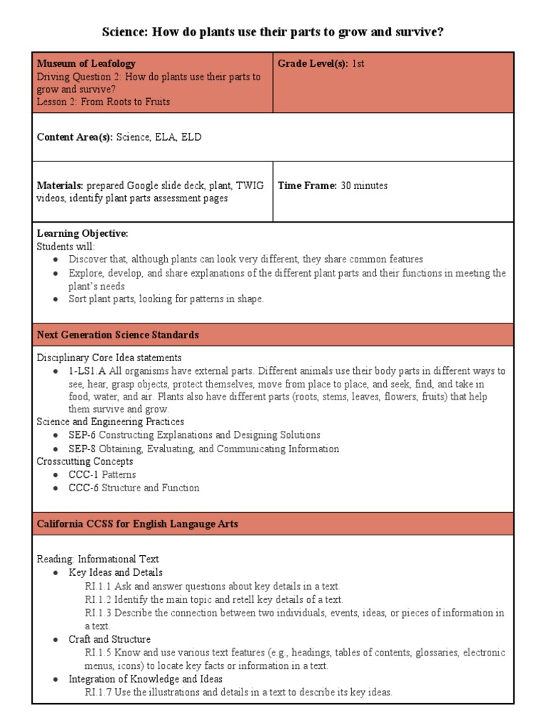 Science: How Do Plants Use Their Parts To Grow and Survive?: Museum of ...