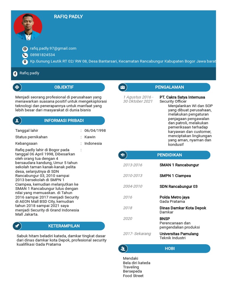 Profil Profesional Rafiq Padly | PDF