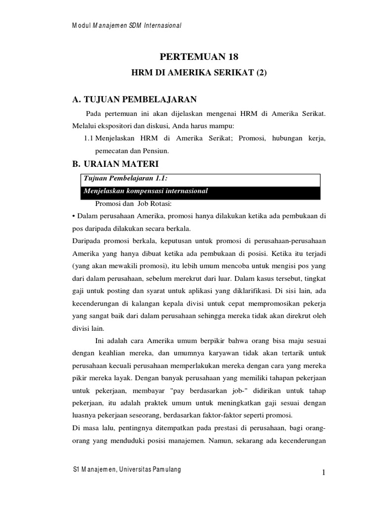 Pertemuan 18 Manajemen SDM Internasional | PDF | Karier & Perkembangan