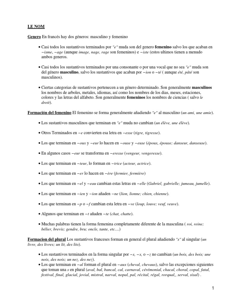 Gramatica Francesa | PDF