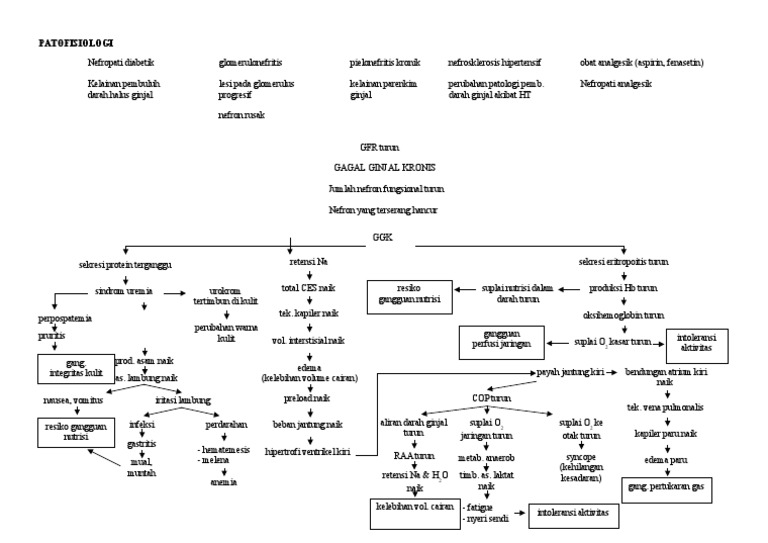 Pathway CKD | PDF | Urological Conditions | Nephrology