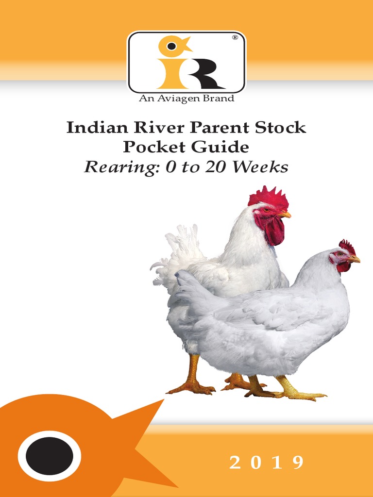 IR Pocket Guide 2020 - Rearing | PDF | Birds | Animal Welfare
