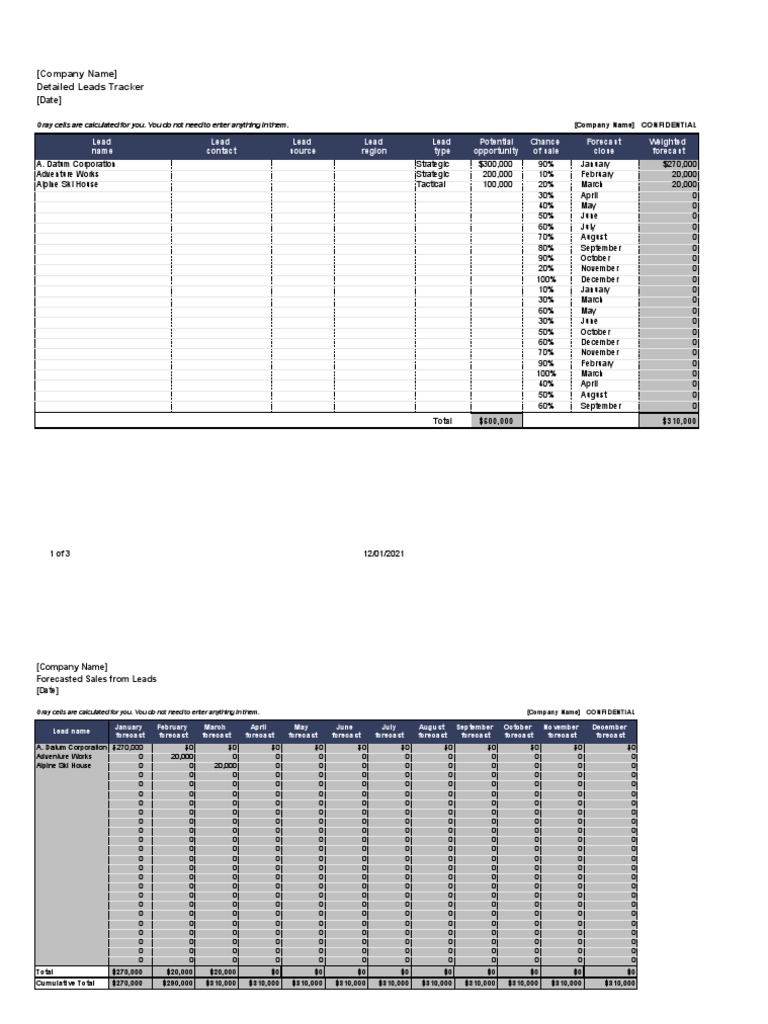 (Company Name) Detailed Leads Tracker: (Date) | PDF