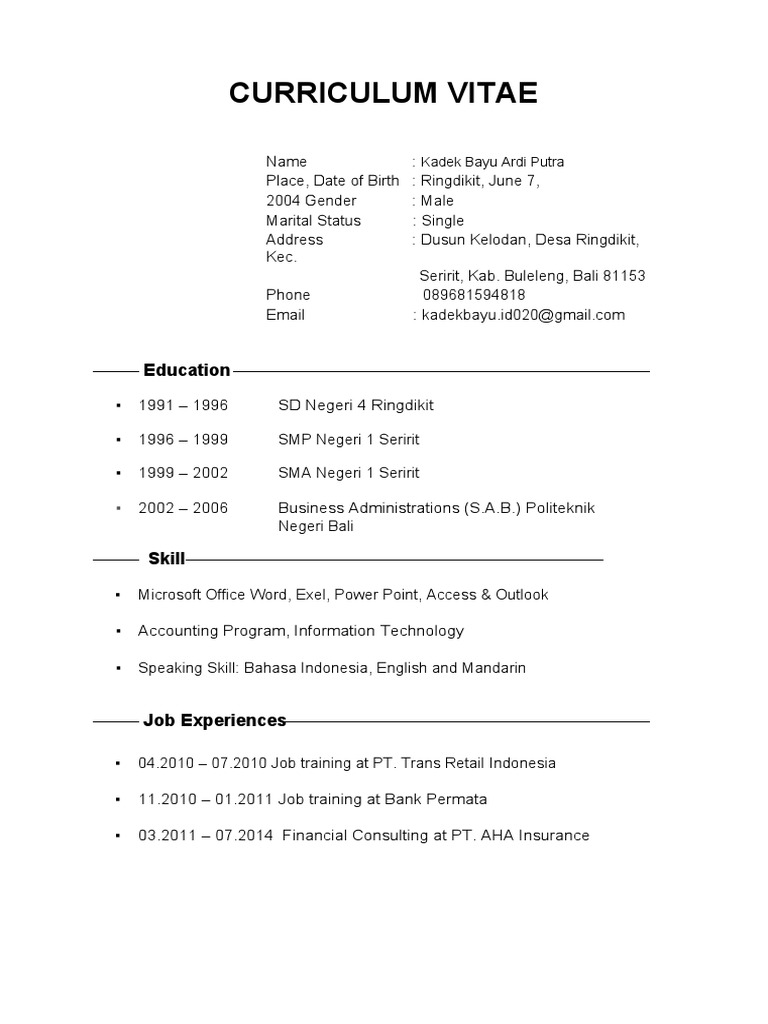 Kadek Bayu's Professional Profile | PDF