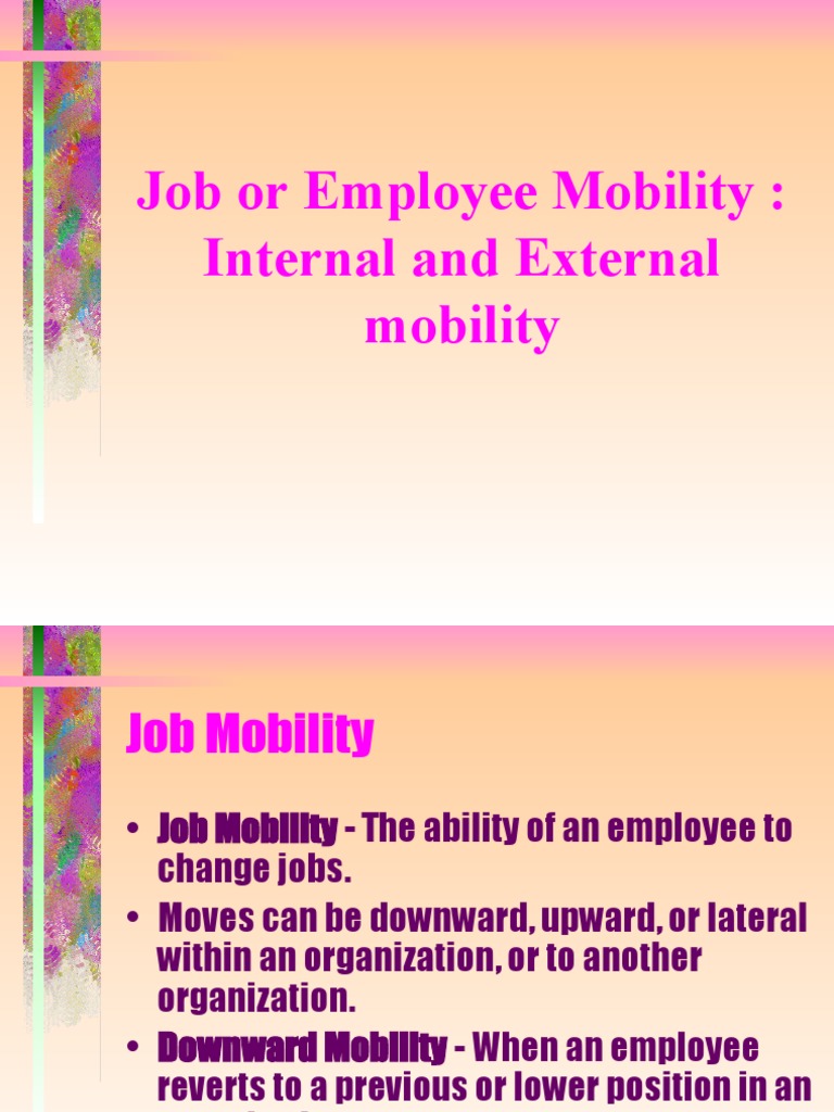 Understanding Internal and External Mobility | PDF | Employment | Layoff
