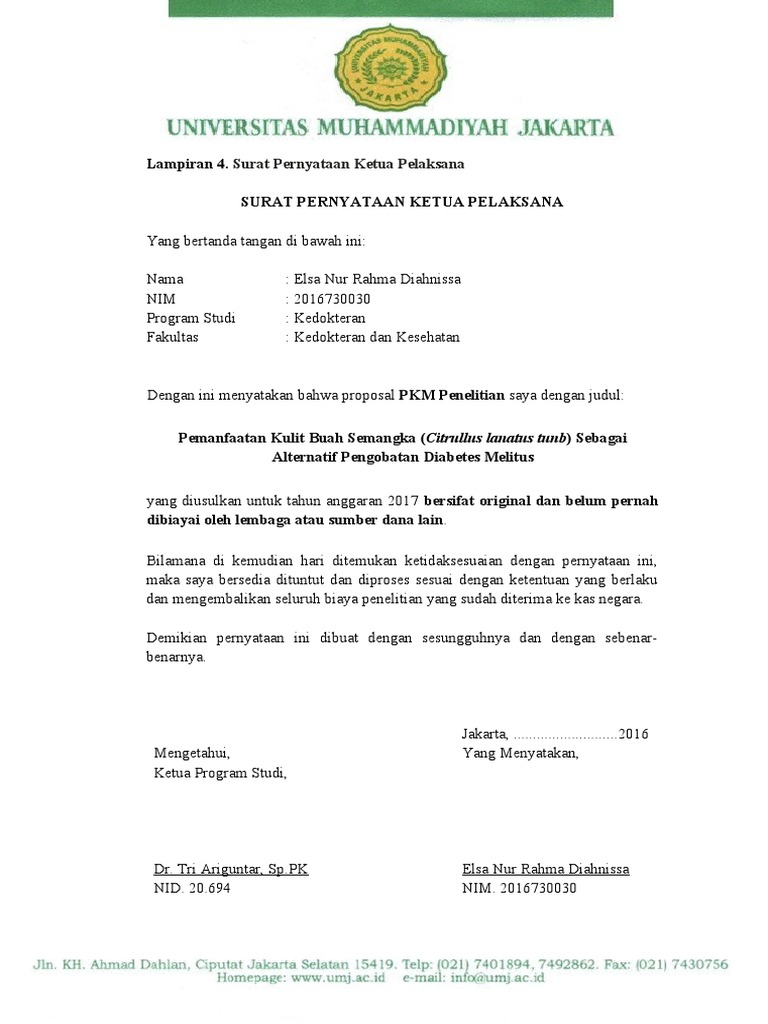 Surat Pernyataan Ketua Pelaksana | PDF