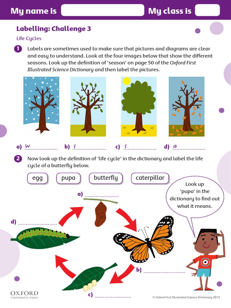 Labeling Life Cycles and Seasons | PDF | Foreign Language Studies