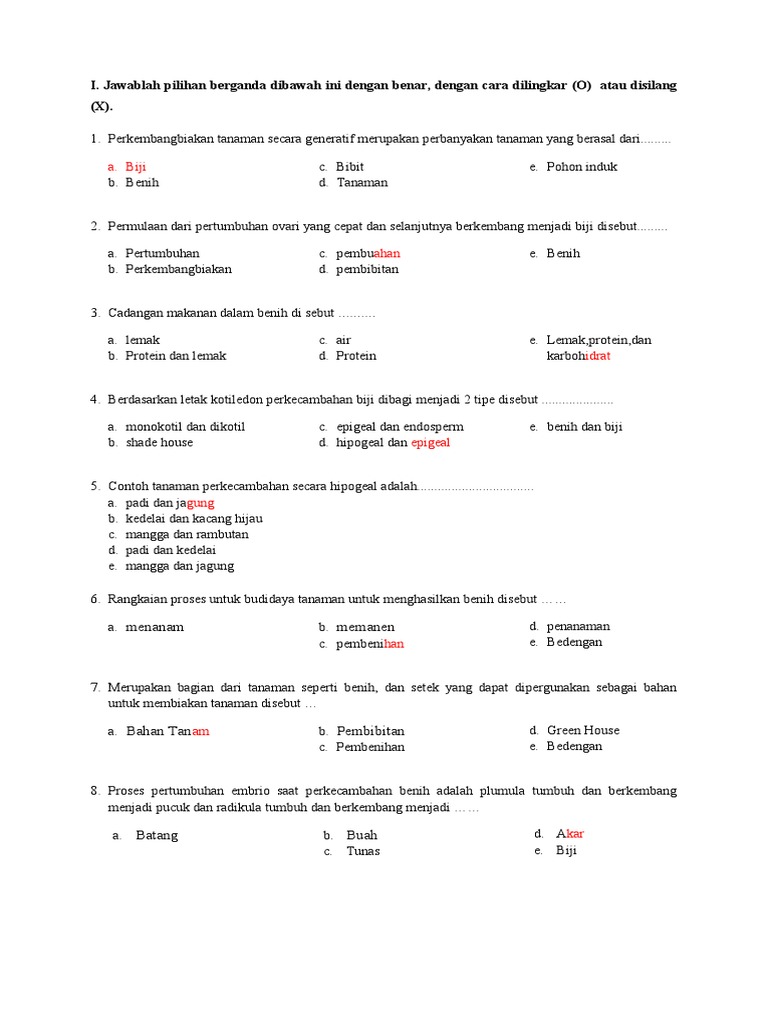 Soal PTS PBT | PDF