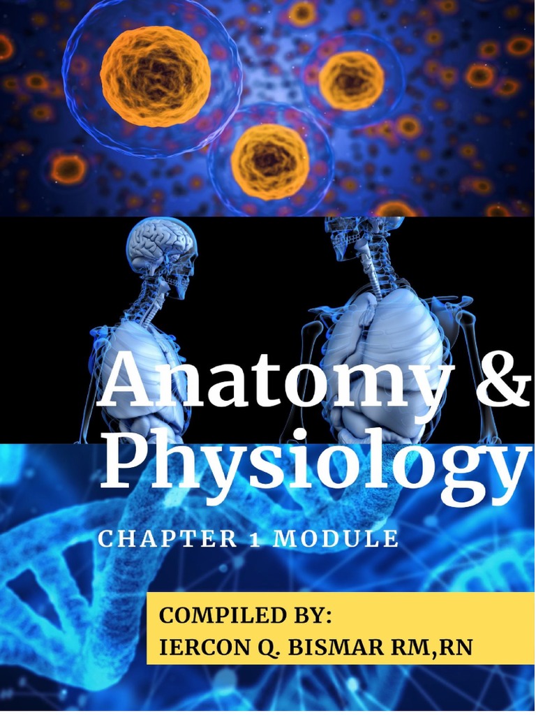 Anatomy and Physiology for Nursing Students | PDF | Anatomical Terms Of ...