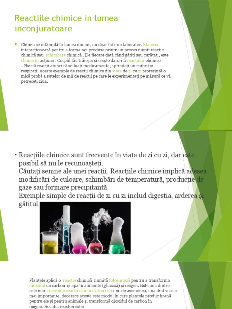 Proiect, Reactiile Chimice in Lumea Inconjuratoare | PDF