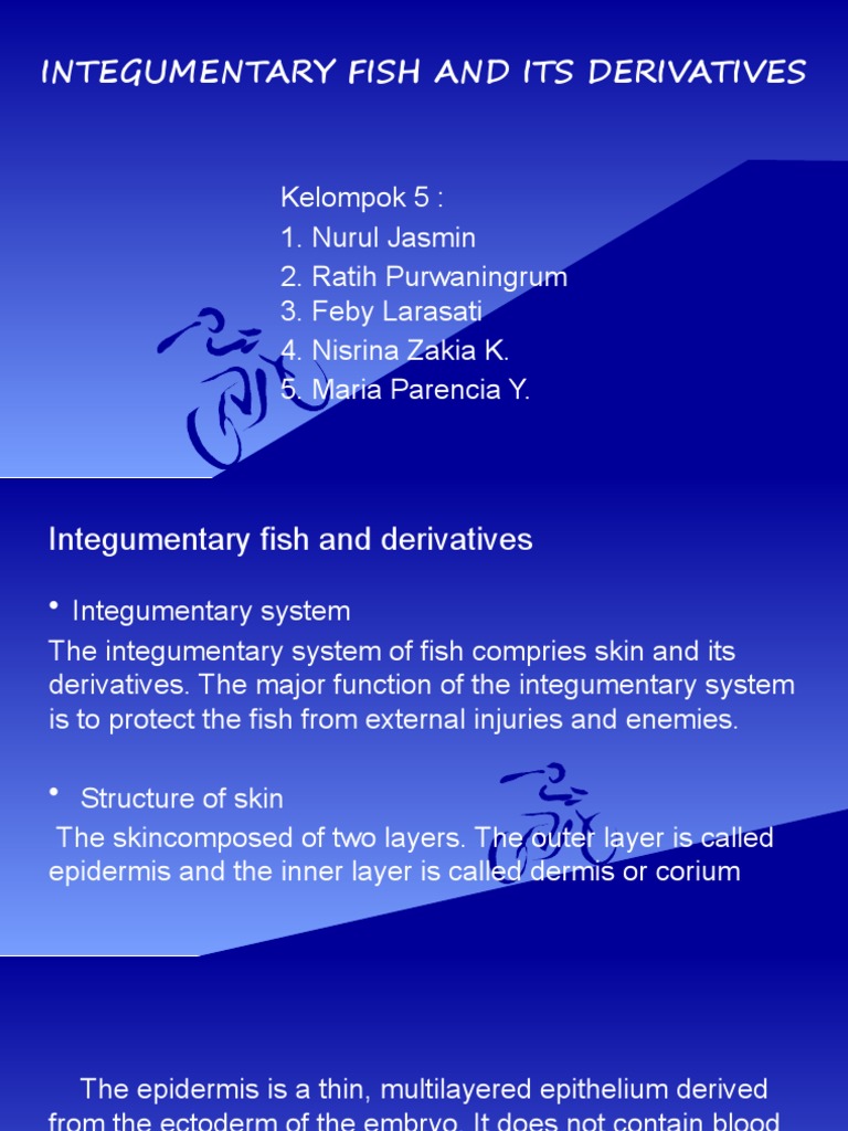 Integumentary Fish and Its Derivatives | PDF | Integumentary System | Skin