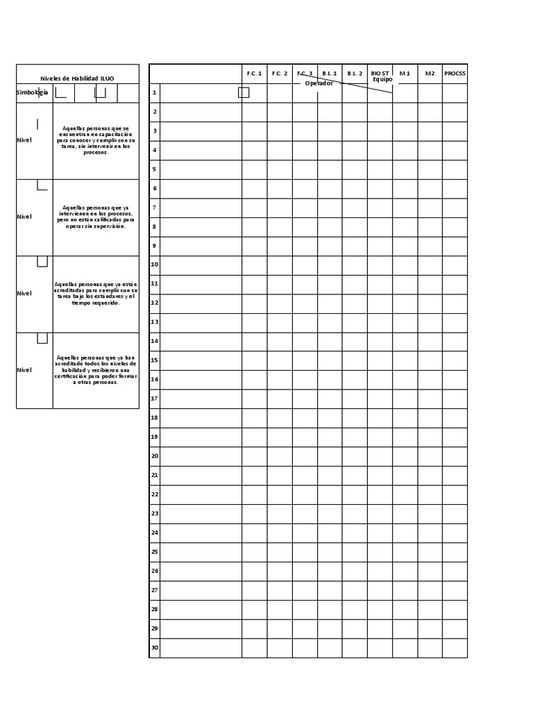 Matriz de Habilidades Iluo | PDF