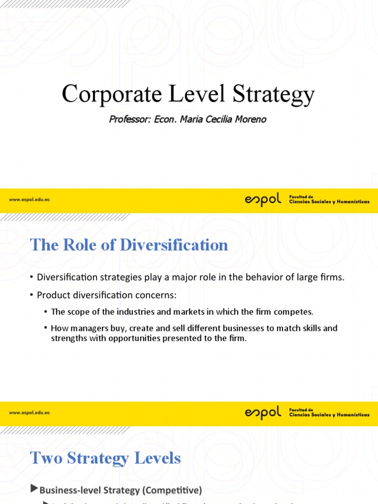 Understanding Corporate-Level Strategy | PDF | Diversification (Finance ...
