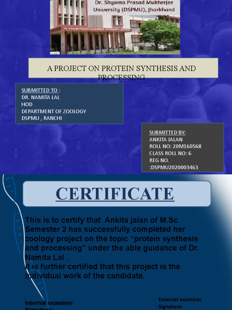 A Project On Protein Synthesis and Processing | PDF | Translation ...