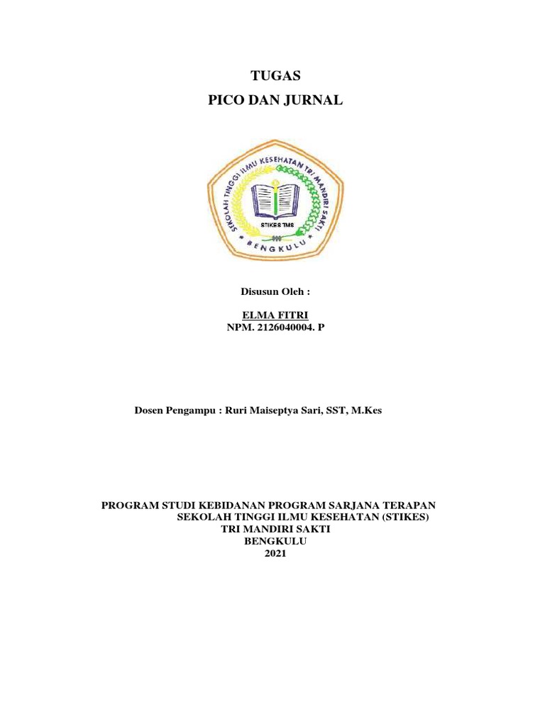 Pico Dan Jurnal | PDF