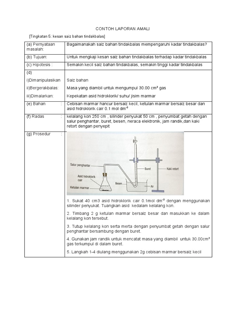 Contoh Laporan Amali | PDF