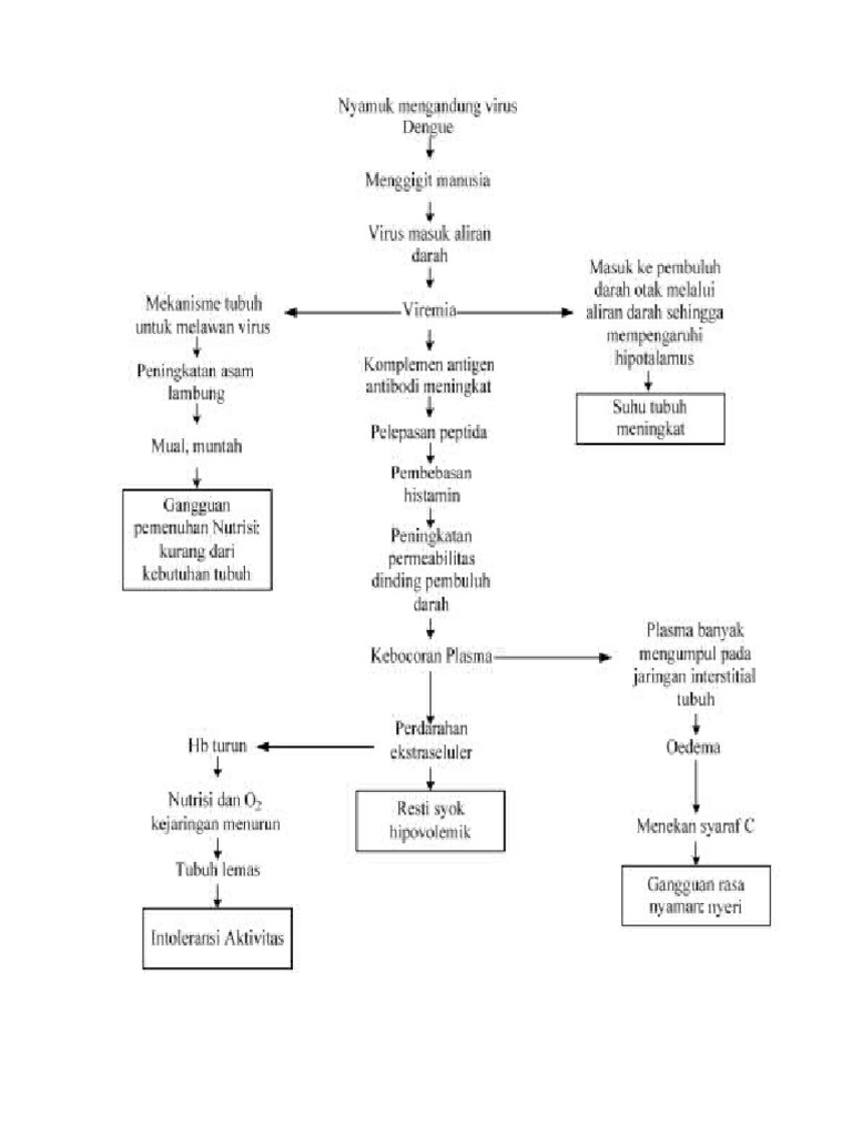Woc DHF Pada Anak | PDF
