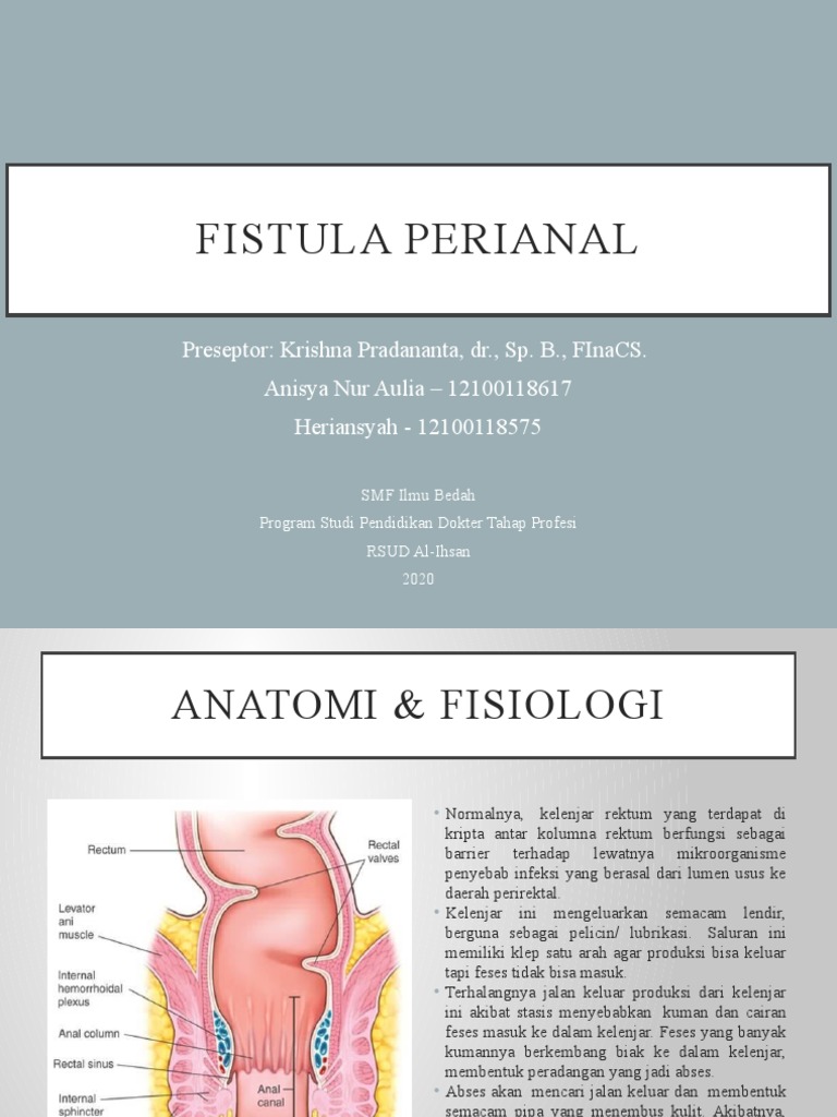 CSS - Fistula Ani | PDF