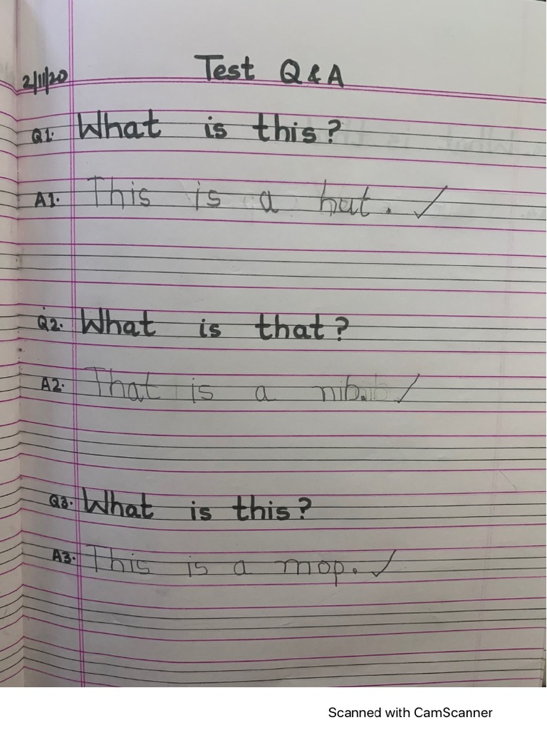 2-11-20 This&That Test 2-Pages | PDF