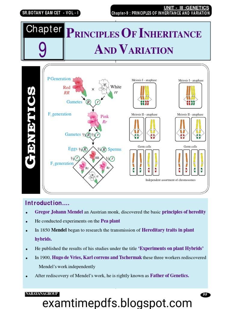 5.Ch-09-Principles of Inheritance (99-137) Final | PDF | Dominance ...