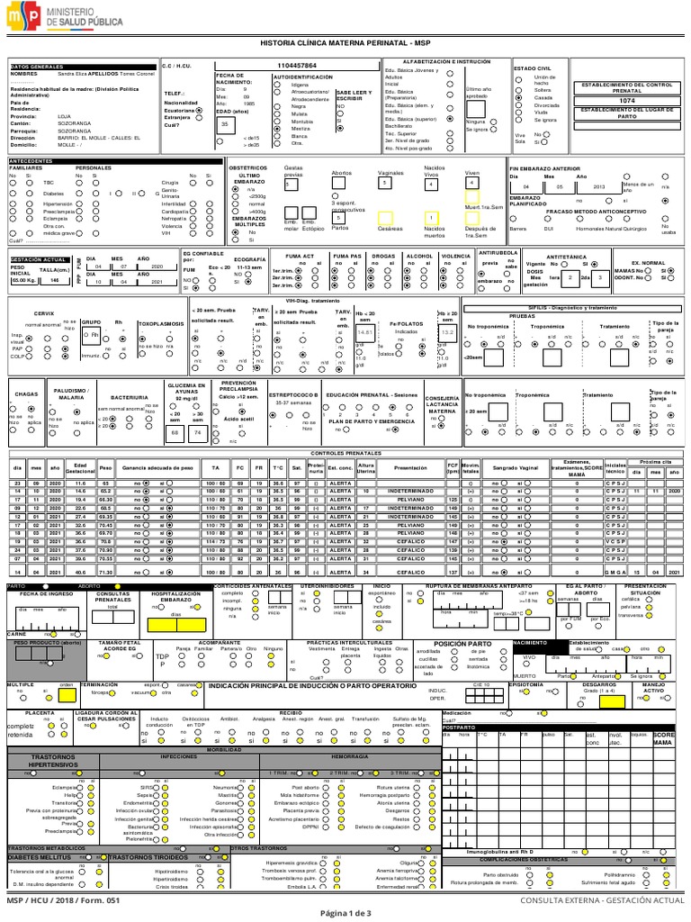 MSP Formulario 051.2018 | PDF | Parto | El embarazo