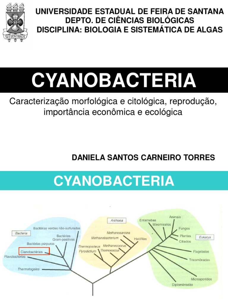 Aula Cyanophyta | PDF | Cianobactéria | Célula (Biologia)