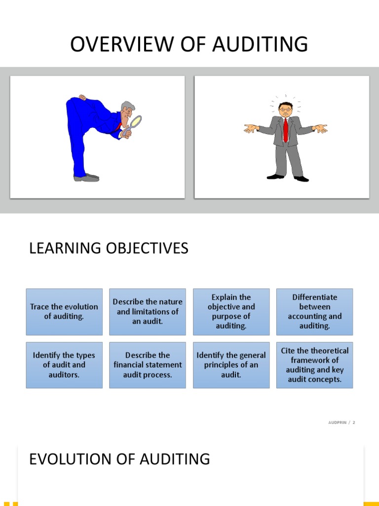 Overview of Auditing | PDF | Audit | Financial Audit