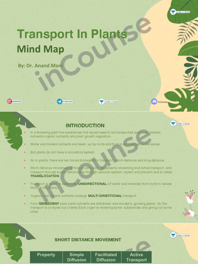 Transport Mind Map | PDF | Osmosis | Botany
