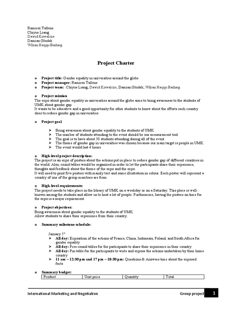 Group Project Gender Equality Project Charter | PDF | Gender Equality ...