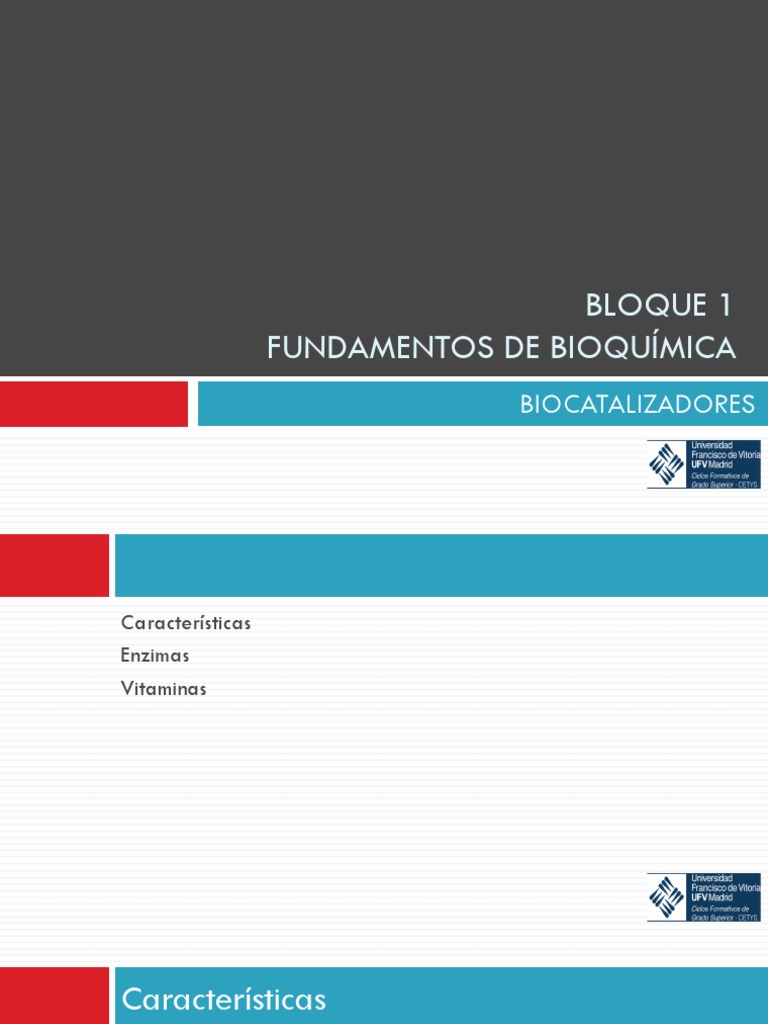 Fundamentos de Biocatalizadores y Enzimas | PDF | Enzima | Cofactor ...