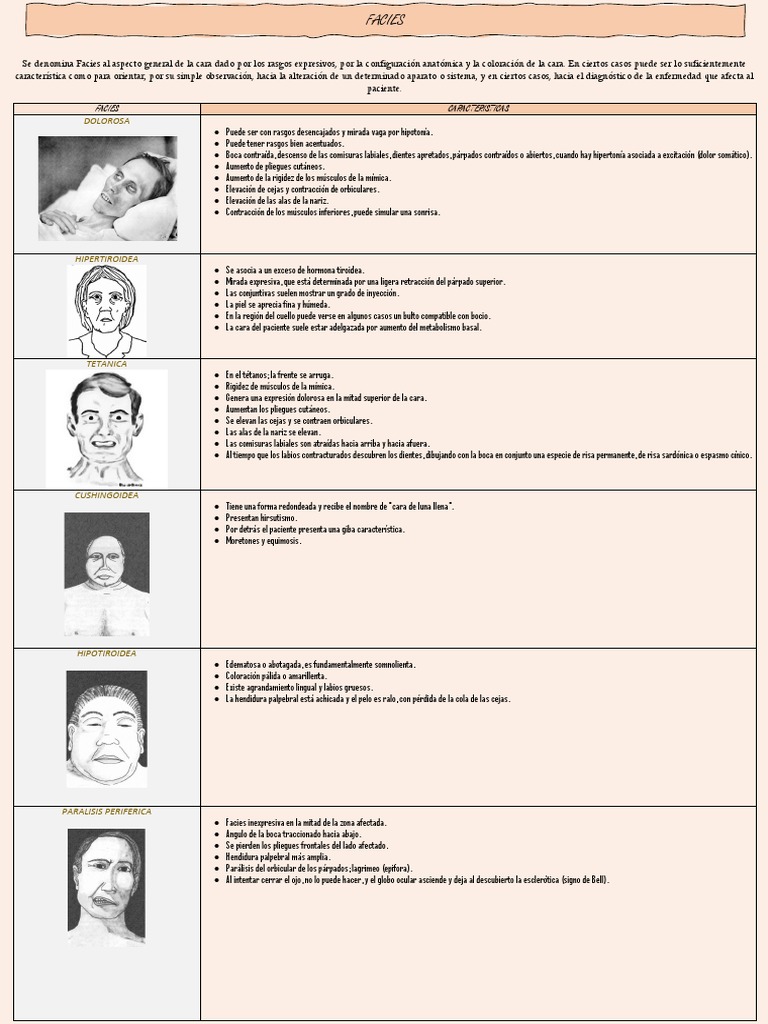 Facies Cuadro Comparativo | PDF | Cara | Boca
