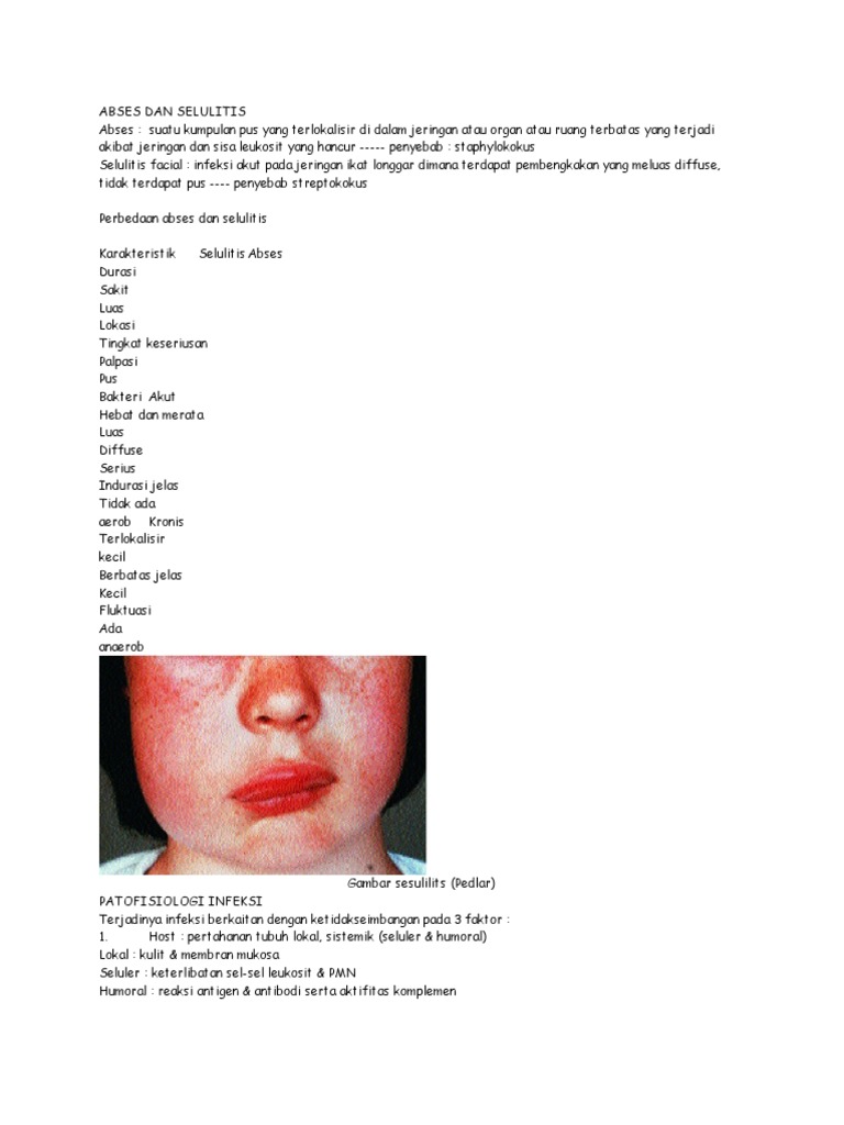 Abses Dan Selulitis | PDF