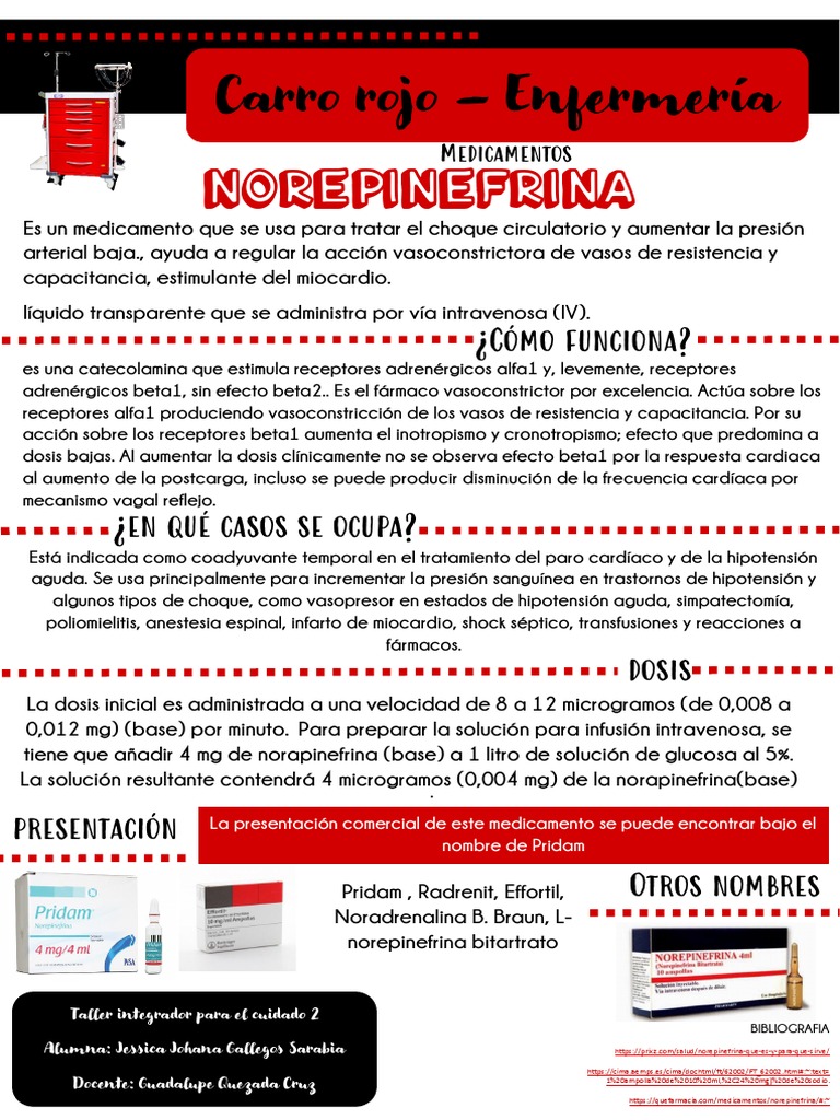 Carro Rojo Medicamento | PDF | Norepinefrina | Medicamentos con receta