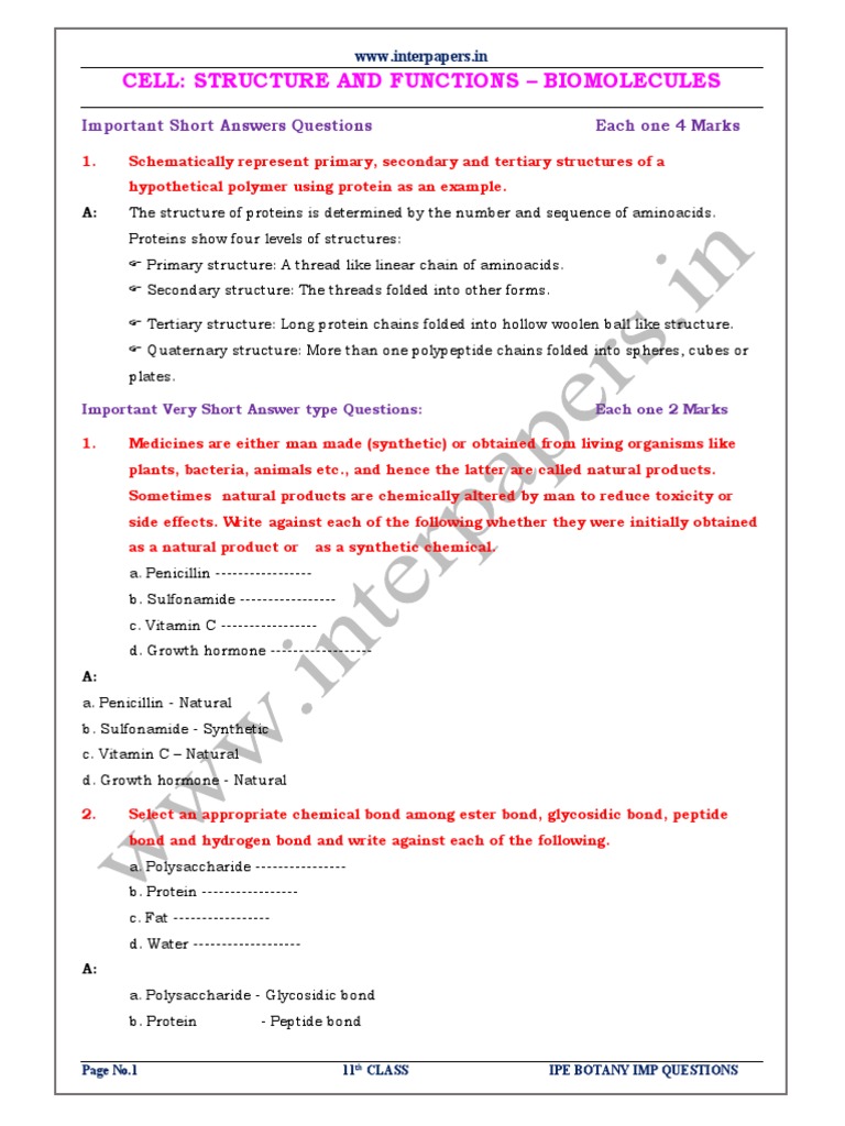 Cell: Structure and Functions - Biomolecules: Important Short Answers ...