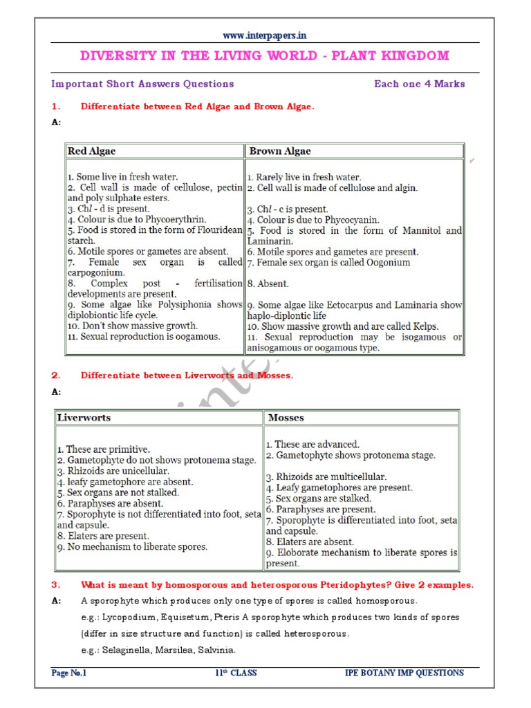 Liverworts vs. Mosses: Key Differences | PDF | Spore | Moss