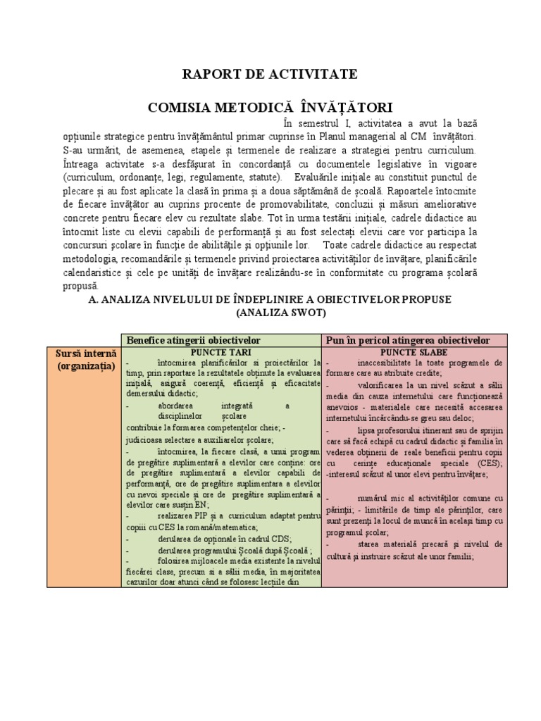 RAPORT DE ACTIVITATE Model | PDF