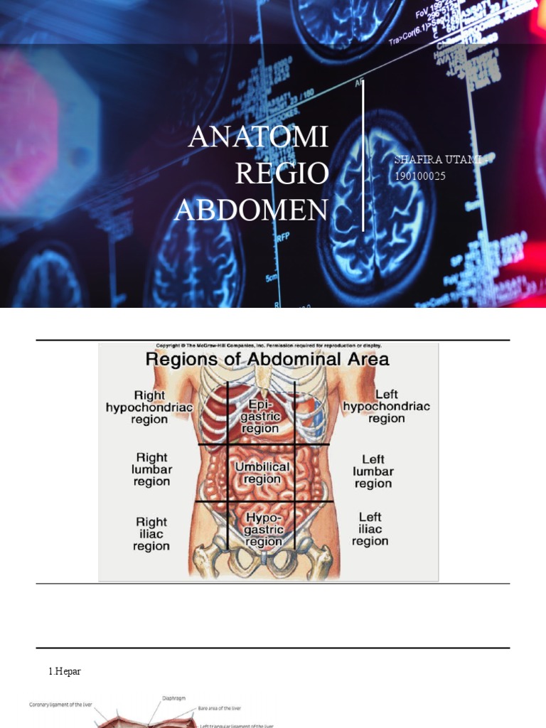 Anatomi Regio Abdomen: Shafira Utami - 190100025 | PDF
