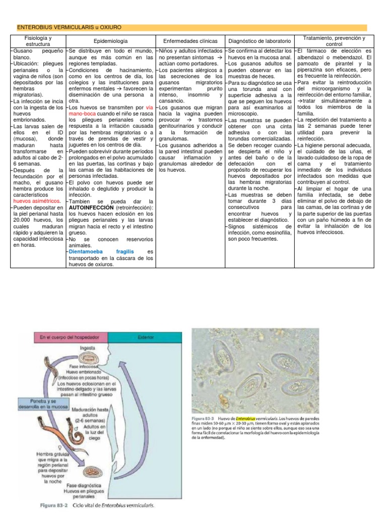 Enterobius Vermicularis - Jawetz y Murray | PDF | Especialidades ...