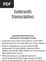 UNIT 7 Eukaryotic Transcription | PDF