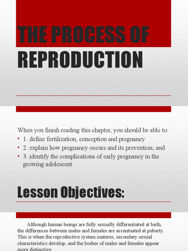 Lesson 5-The Process of Reproduction | PDF | Menstrual Cycle ...