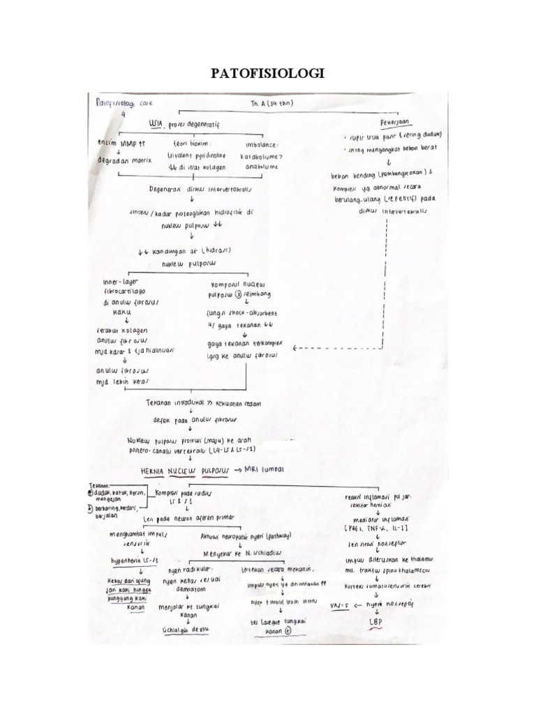 Patofisiologi LBP Ec HNP | PDF