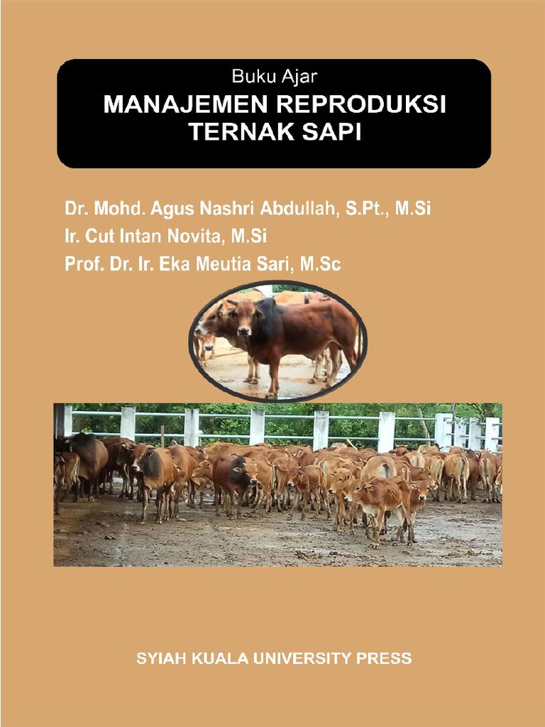 285-Book Manuscript-1068-1-10-20210501 | PDF