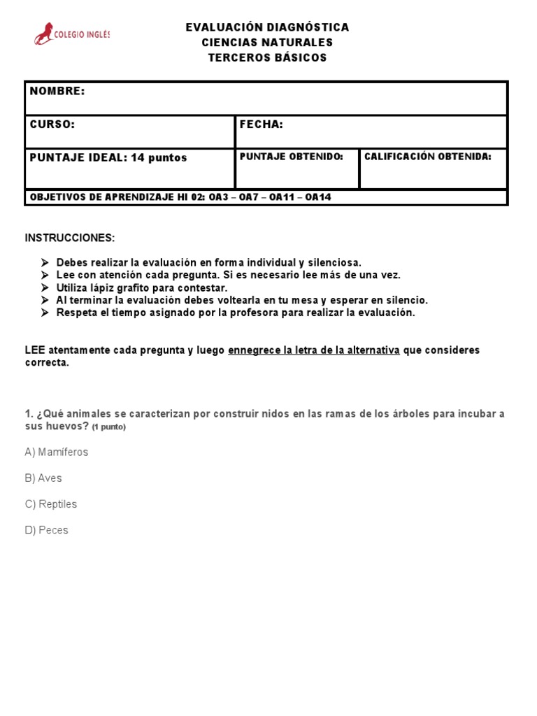 Evaluación Diagnóstica Ciencias Naturales | PDF | Corazón | Agua