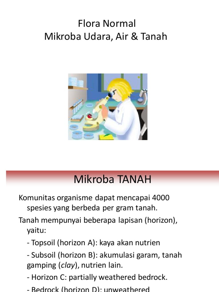 Pertemuan 9 Flora Normal | PDF