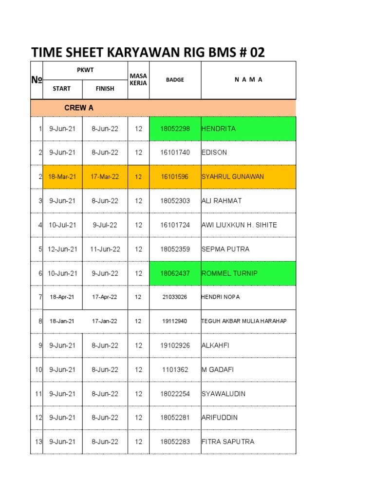 Time Sheet for Rig BMS Employees | PDF | Petroleum Industry | Petroleum