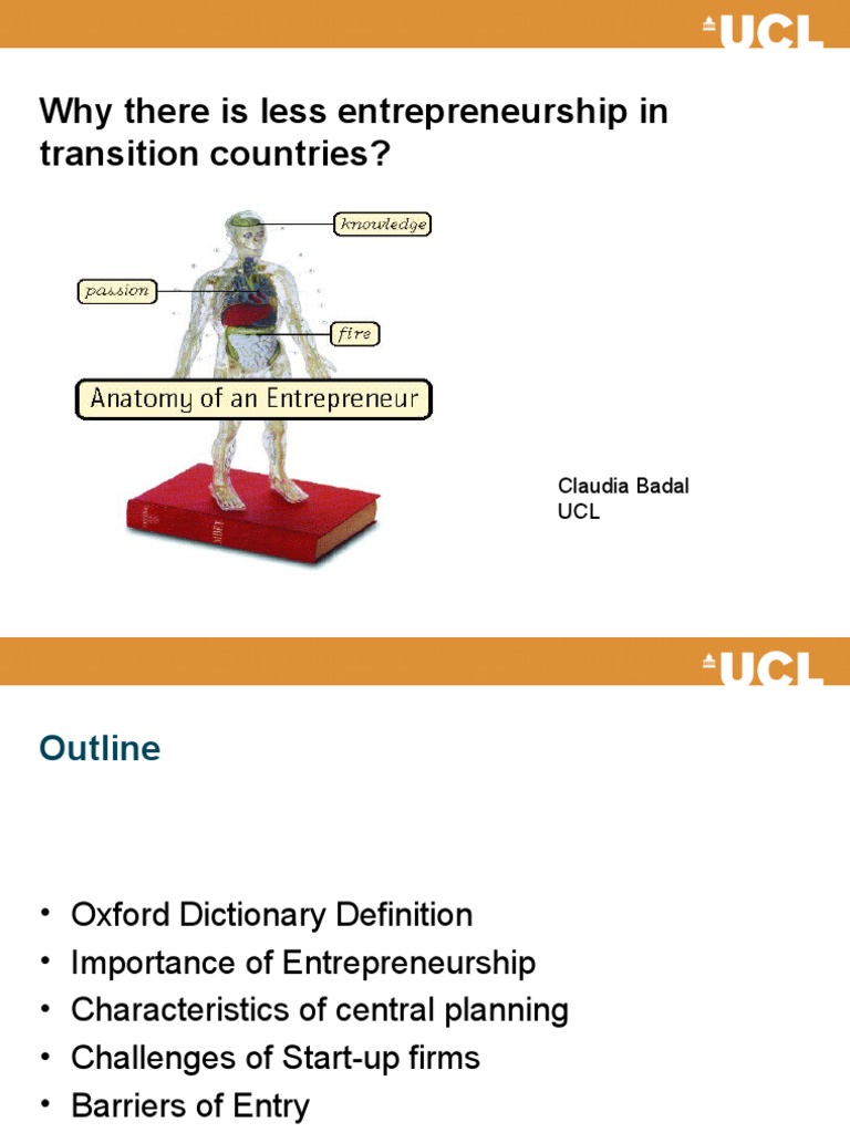Why There Is Less Entrepreneurship in Transition Countries?: Claudia ...