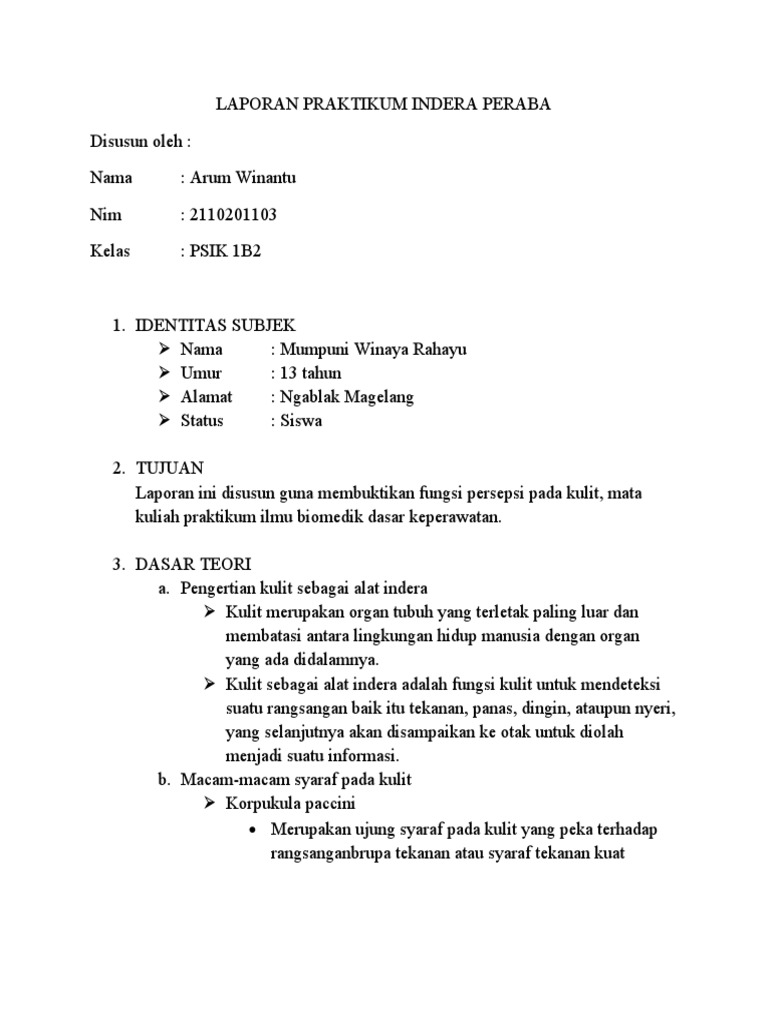 Kulit Sebagai Indera Peraba | PDF