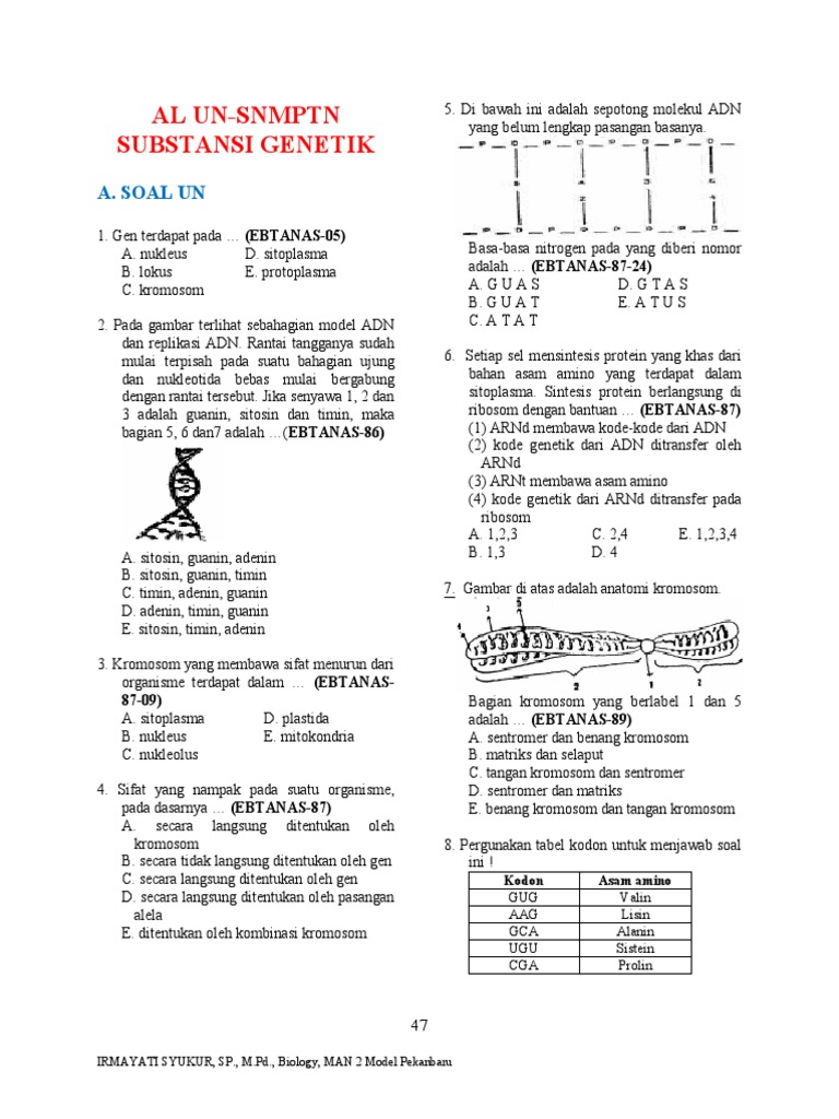 Soal Un-Snmptn Materi Genetik... | PDF