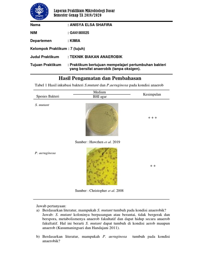 Praktikum 12. Teknik Biakan Anaerobik | PDF